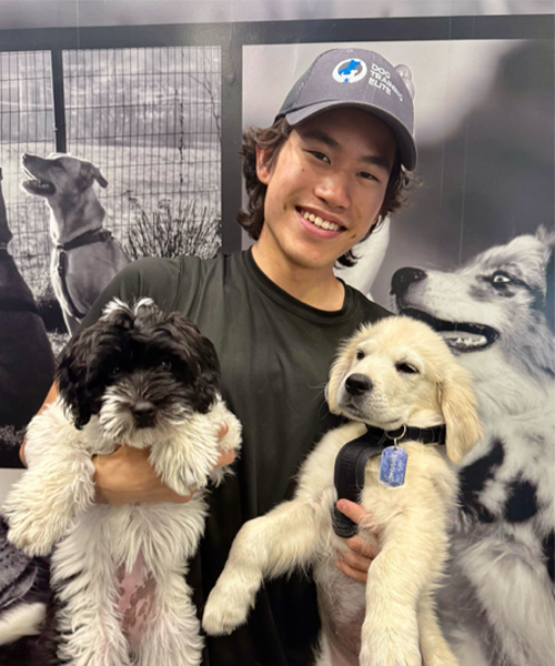 Dog Training Elite. Dog Training in St. Louis, MO